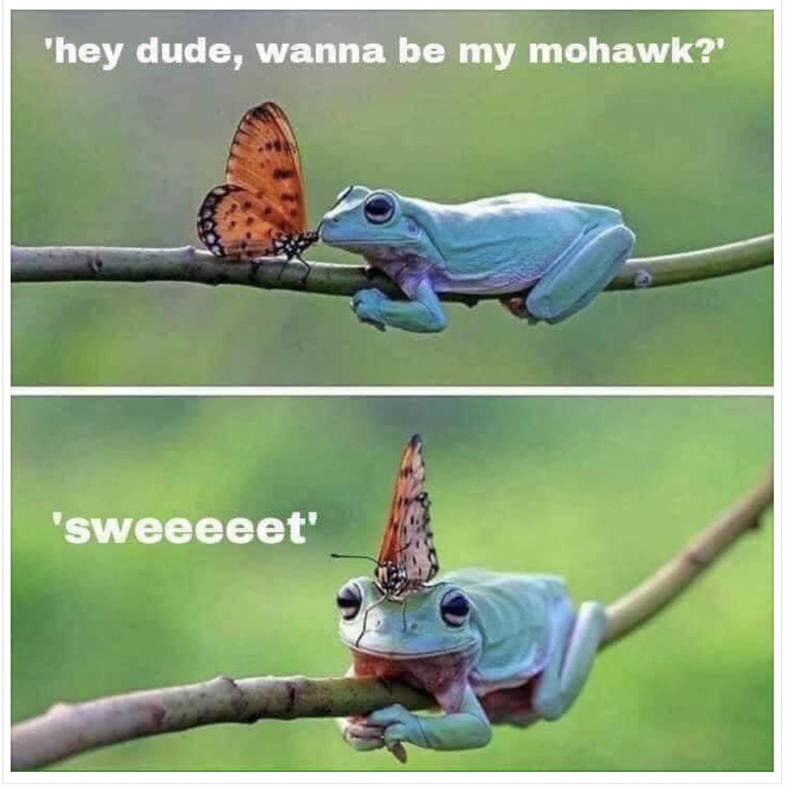 Teamwork making the follicular dream work! | /r/wholesomememes ...