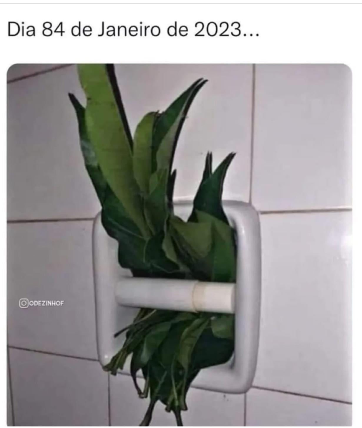 January 84th, 2023 | Acabou Janeiro / January Is Finally Over | Know ...