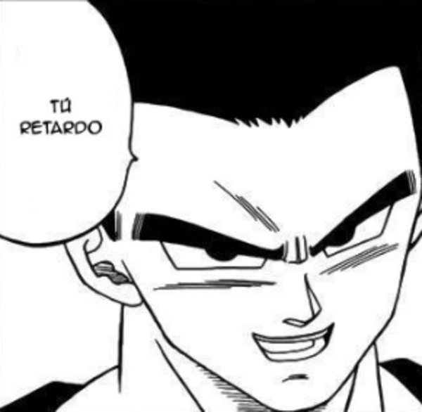 TÚ RETARDO | Gohan's "You Retard." | Know Your Meme