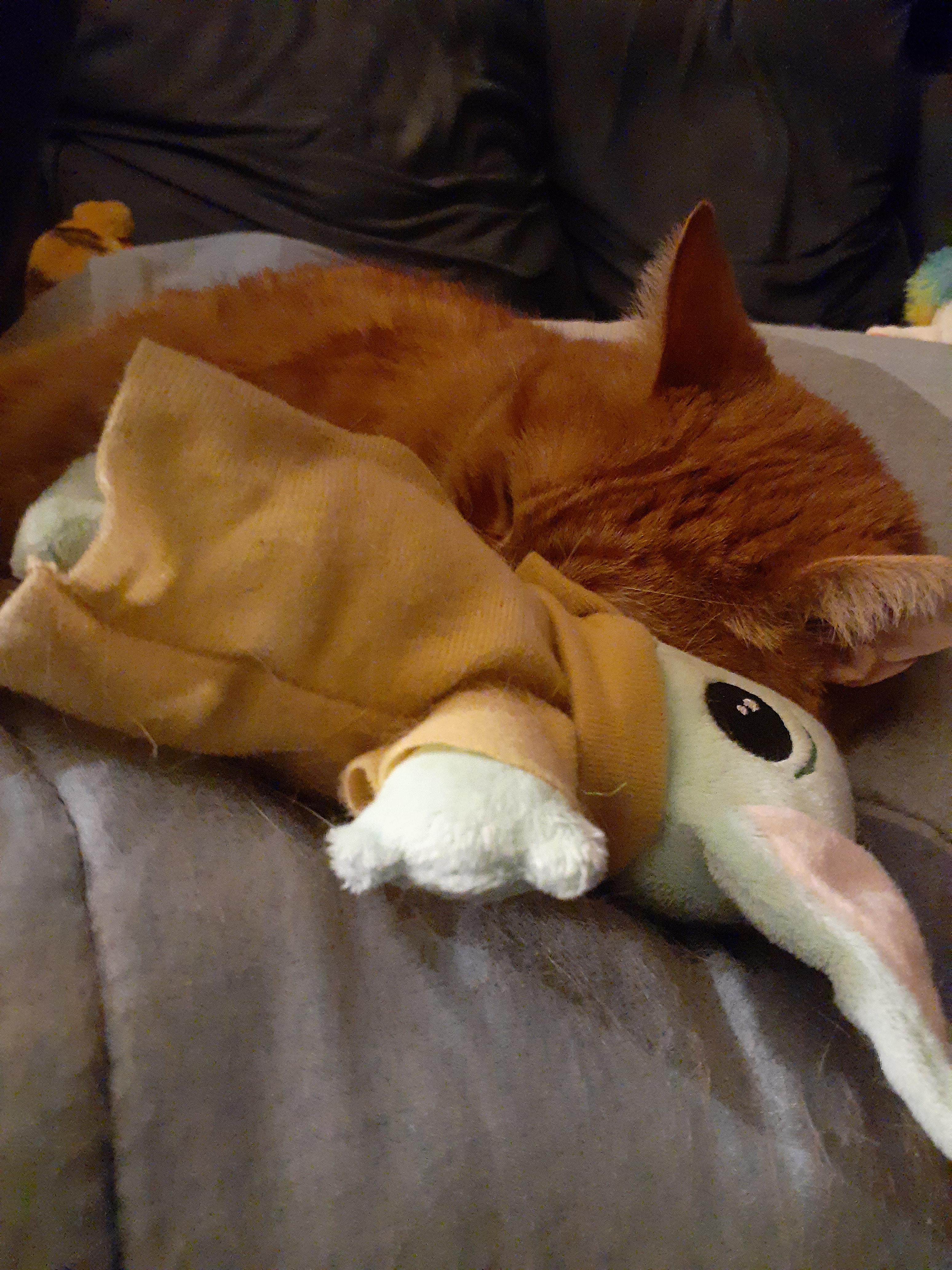 Daisy snuggling with his favorite Baby Yoda toy...shhh baby sleeping ...