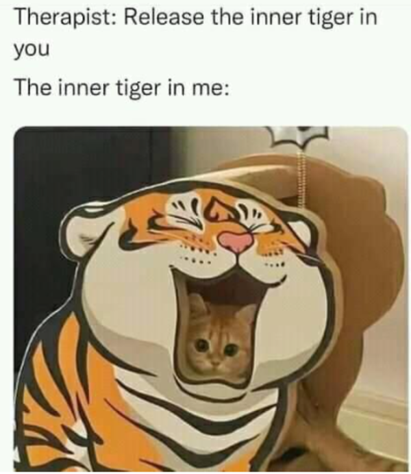 Motivation embrace me | /r/wholesomememes | Wholesome Memes | Know Your ...