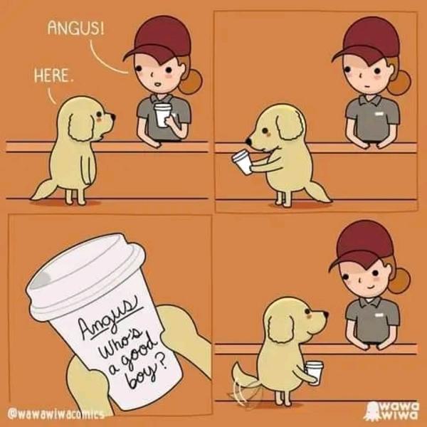 Angus deserves a pat | /r/wholesomememes | Wholesome Memes | Know Your Meme
