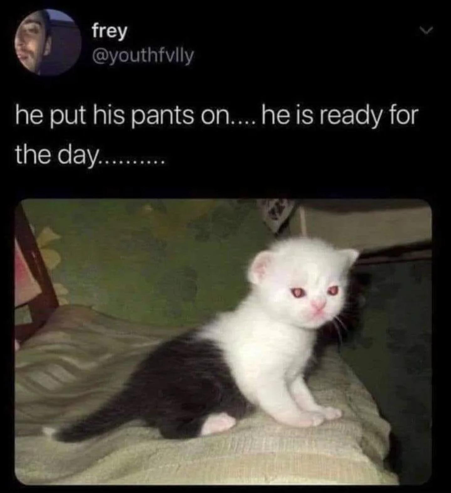 He do. He really do has his pants on! | /r/wholesomememes | Wholesome Memes | Know Your Meme