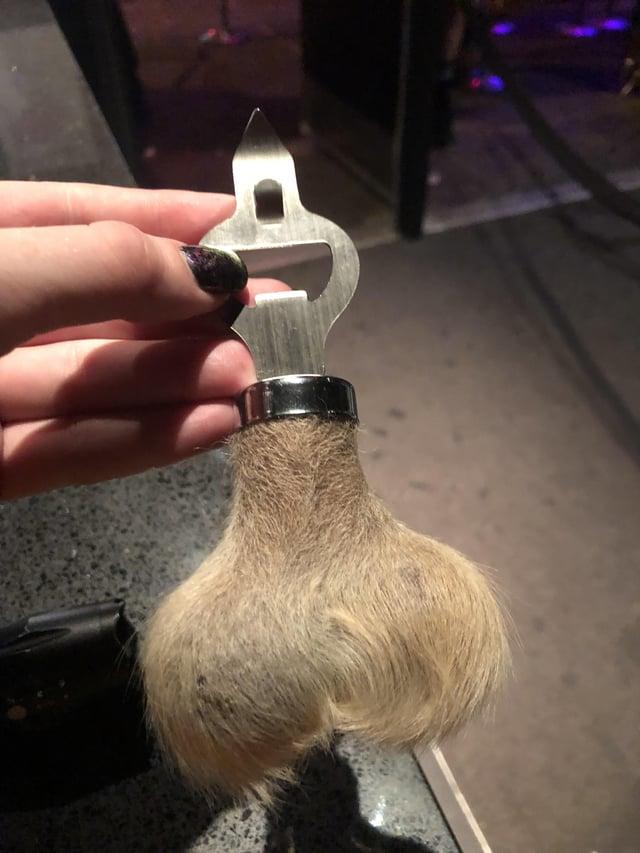 Deer Testicle Bottle Opener | Awful Taste, But Great Execution | Know ...