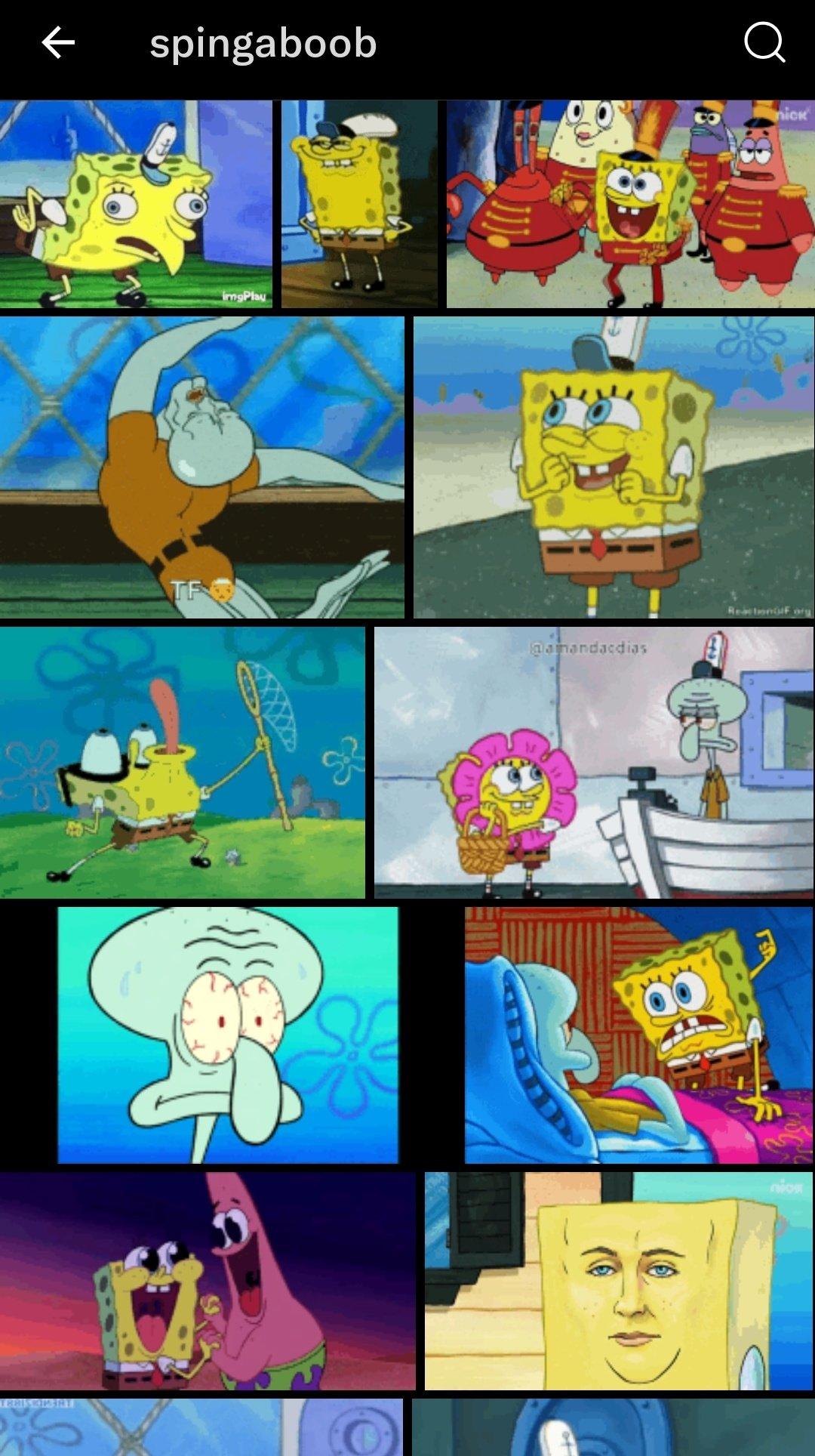 Spingaboob | Misspelling "SpongeBob" In The GIF Tab | Know Your Meme