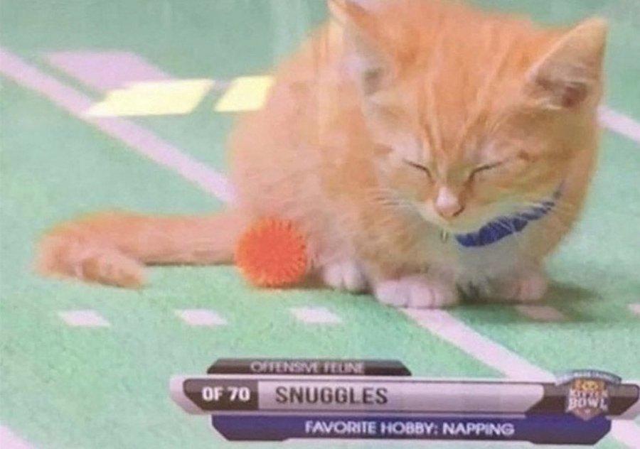 the great hobby | /r/wholesomememes | Wholesome Memes | Know Your Meme