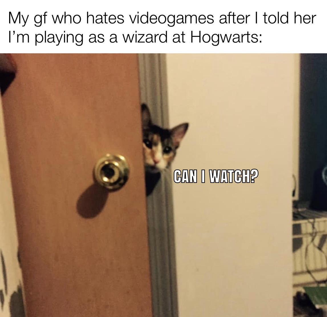 Snape. Snape. Severus Snap. | /r/memes | Hogwarts Legacy | Know Your Meme