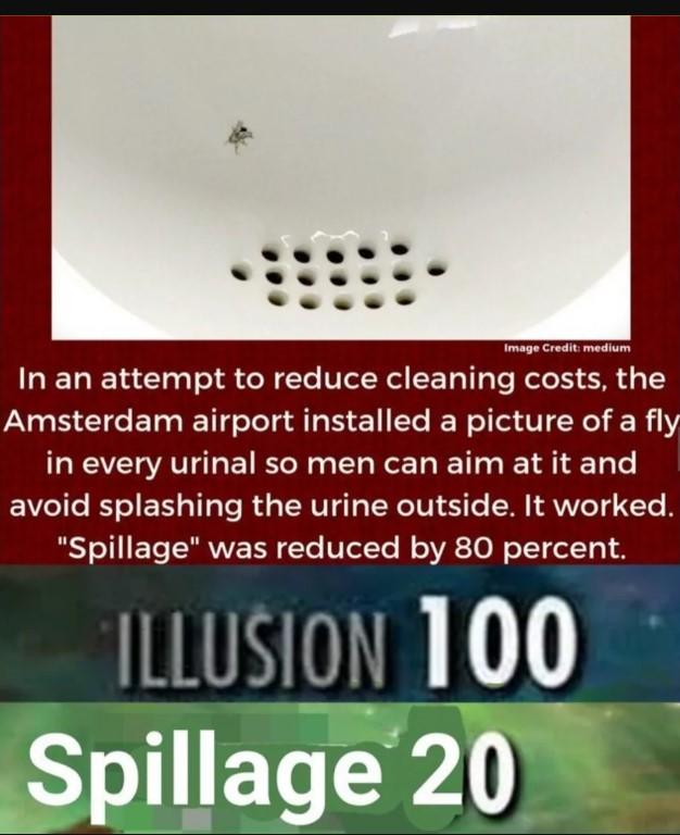 Intelligence | /r/memes | Skyrim Skill Tree | Know Your Meme