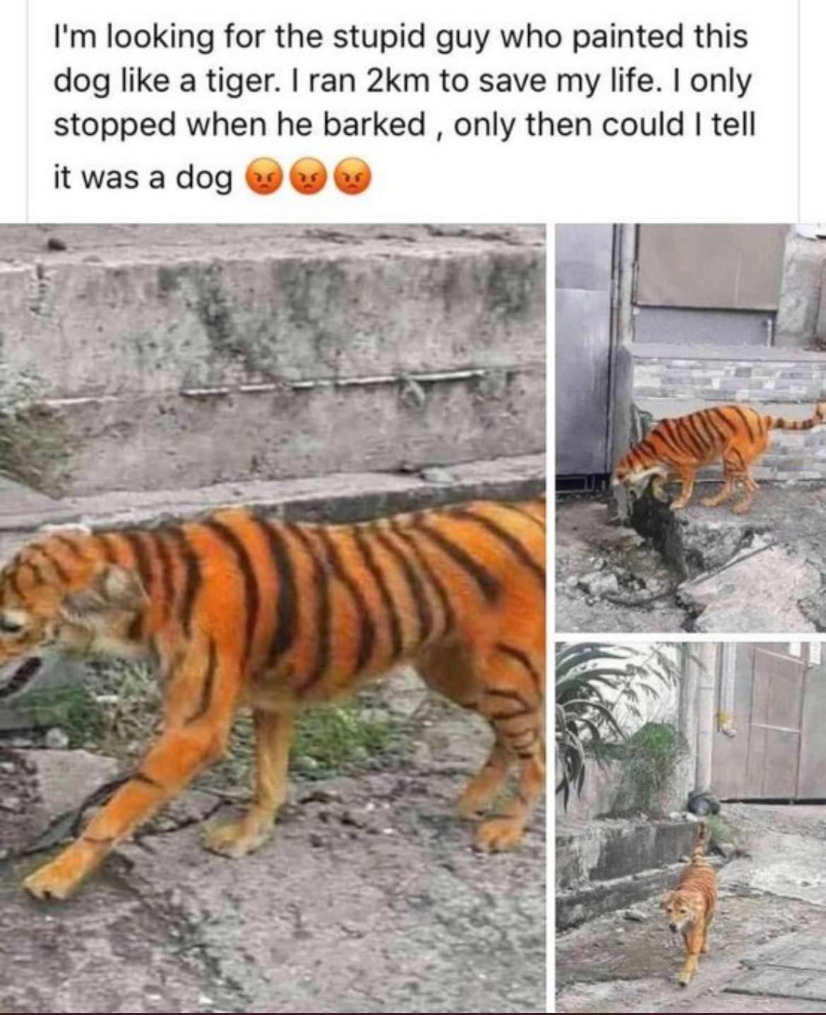 anyone would be scared | Know Your Meme