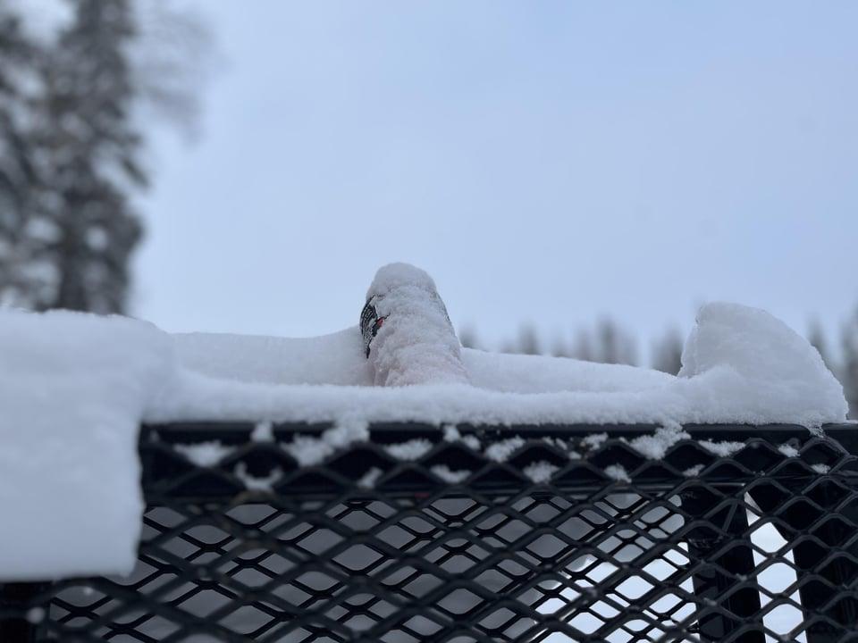 Powerade Left Outside: Day 40 | Know Your Meme