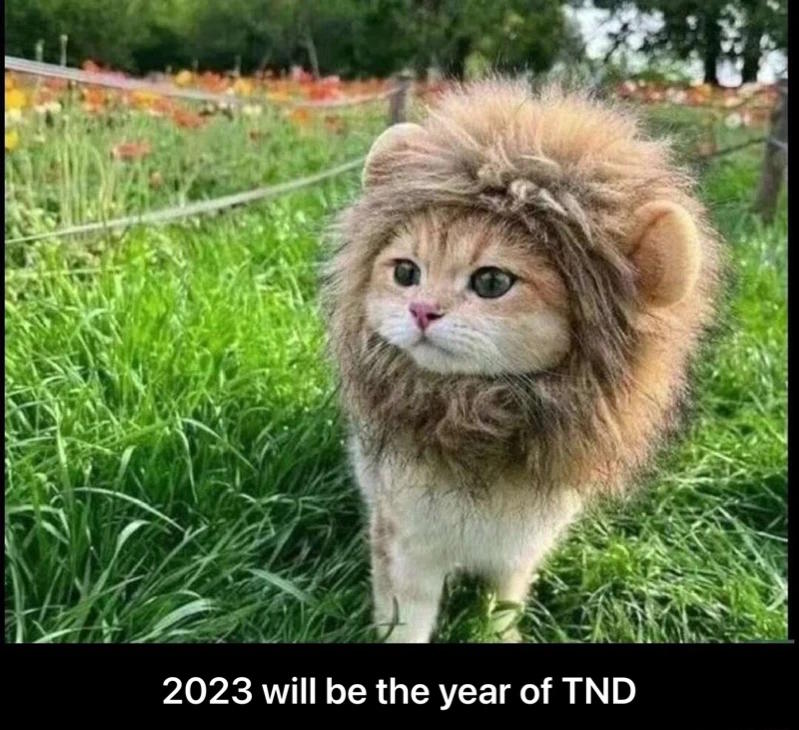 2023 Will Be the Year of TND | TND / Kill, Behead, Roundhouse | Know ...