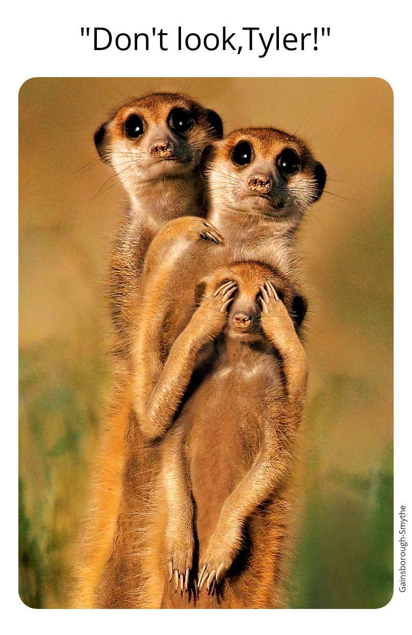 Parental discretion in action | /r/wholesomememes | Wholesome Memes ...