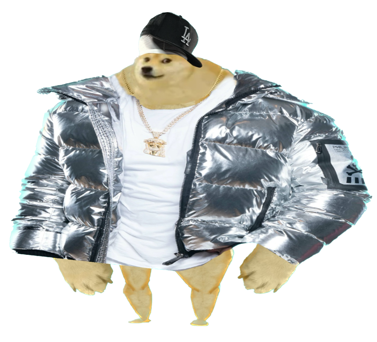 Le rapper buff doge has arrived | /r/dogelore | Ironic Doge Memes ...