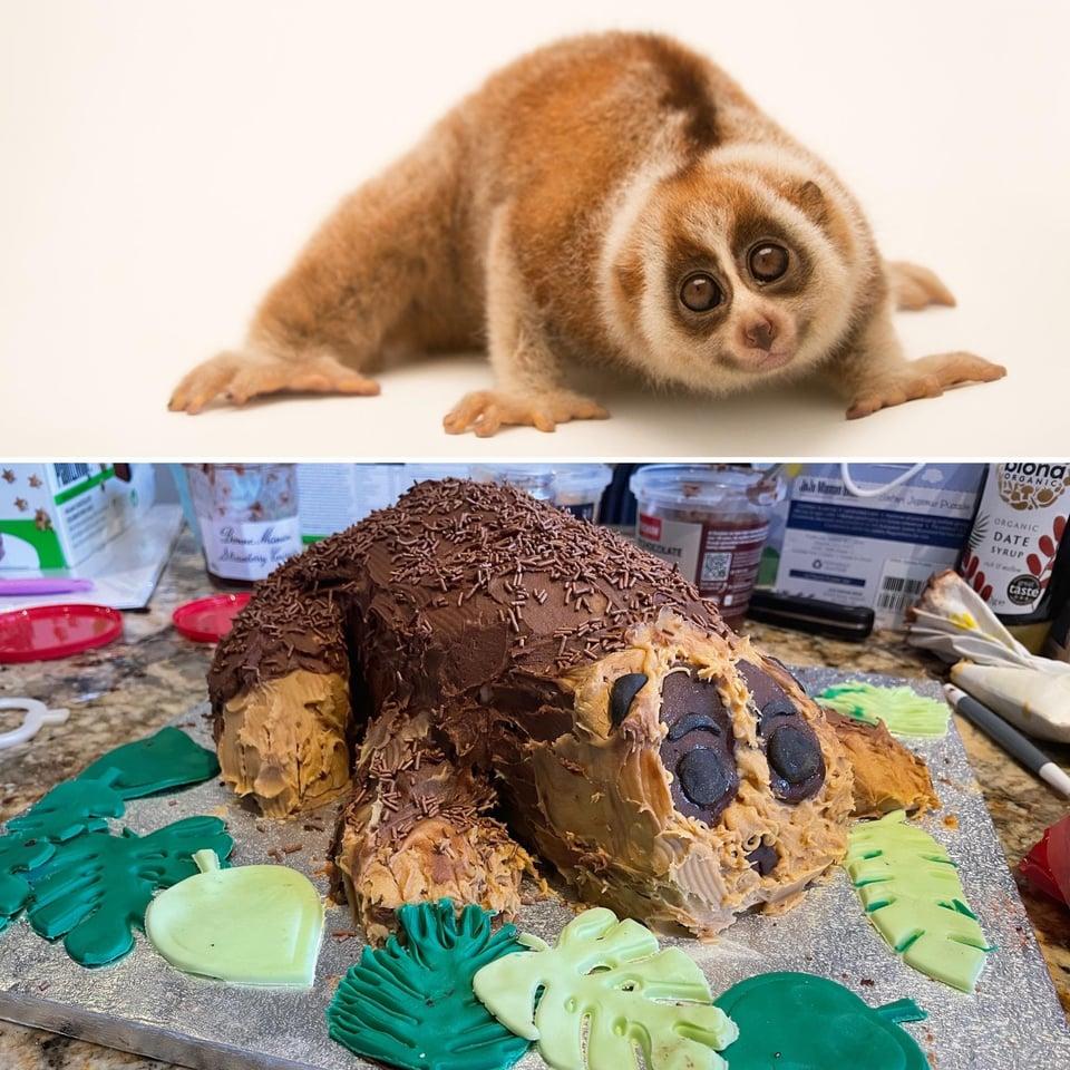 Loris cake | Expectation vs. Reality | Know Your Meme