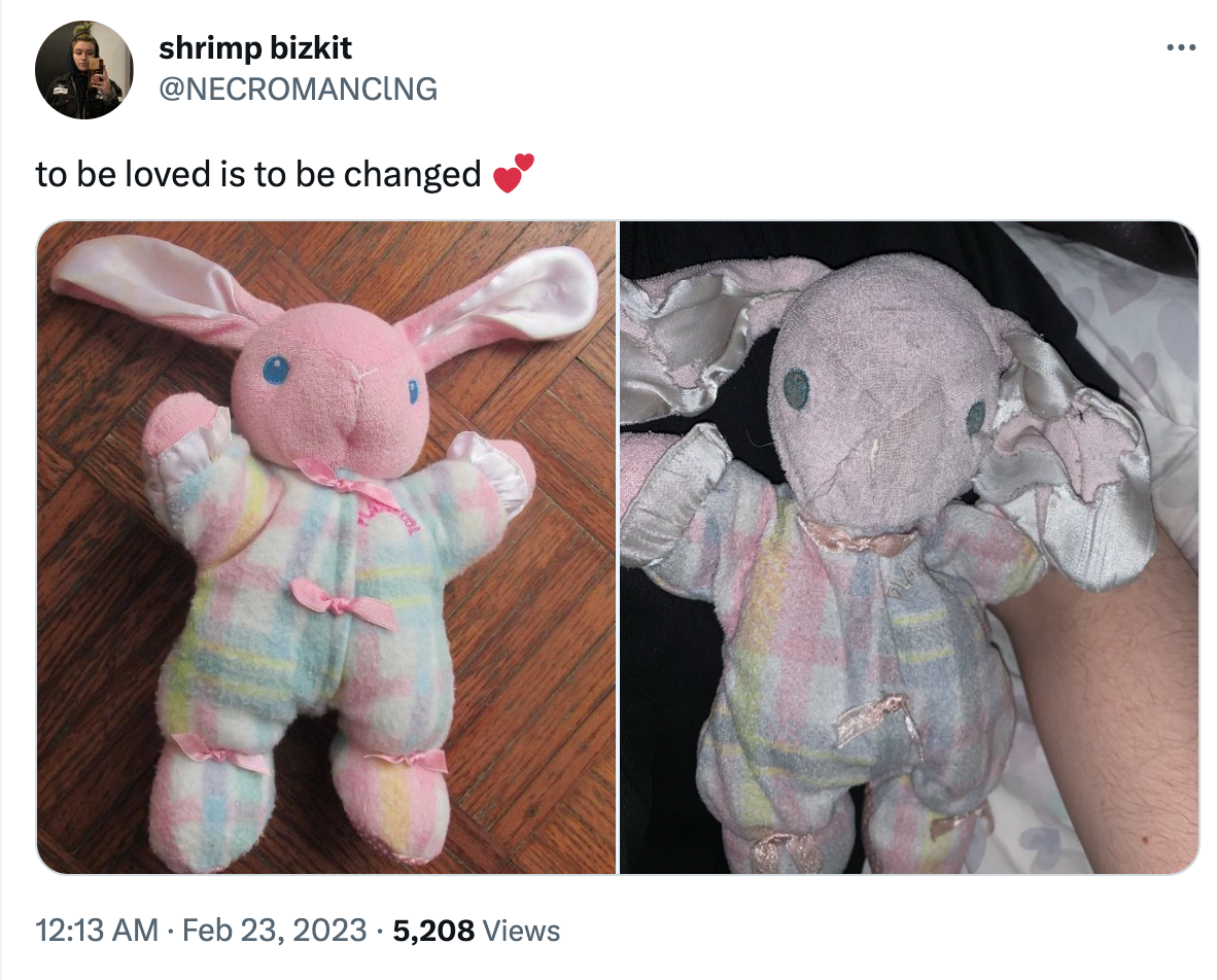 Stuffed Bunny | To Be Loved Is To Be Changed | Know Your Meme