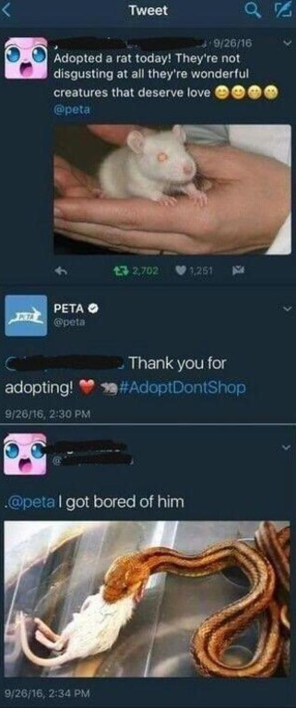 Madlad at it's peak | /r/madlads | Mad Lad / Madlad | Know Your Meme