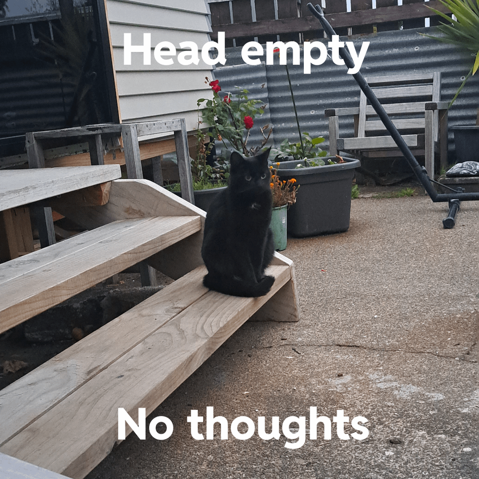 meow irl | No Thoughts Head Empty | Know Your Meme