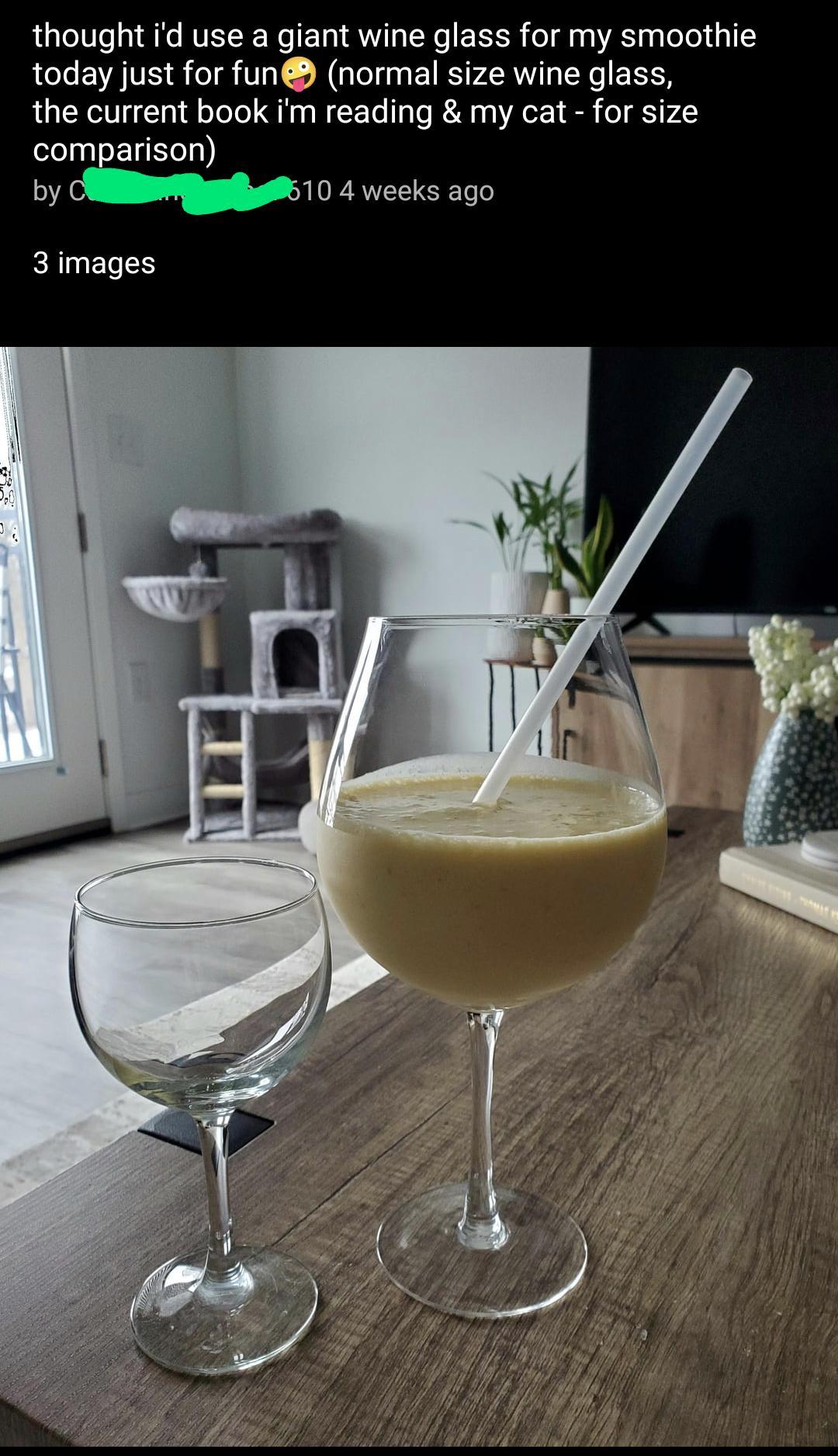 A smoothie, in a WINE glass?? Have you lost your mind? | /r/madlads ...