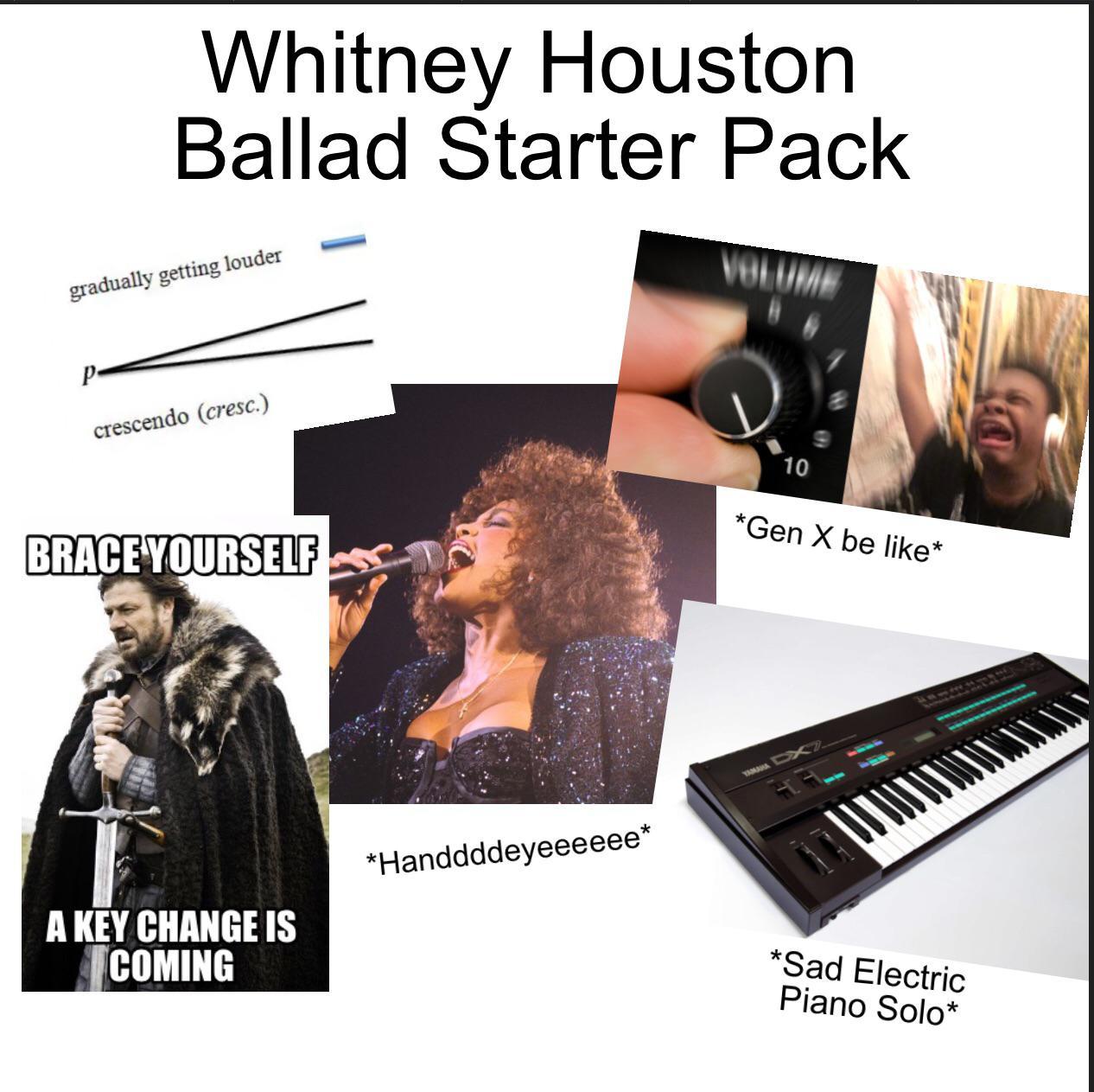 Whitney Houston Ballad Starter Pack | /r/starterpacks | Starter Packs ...