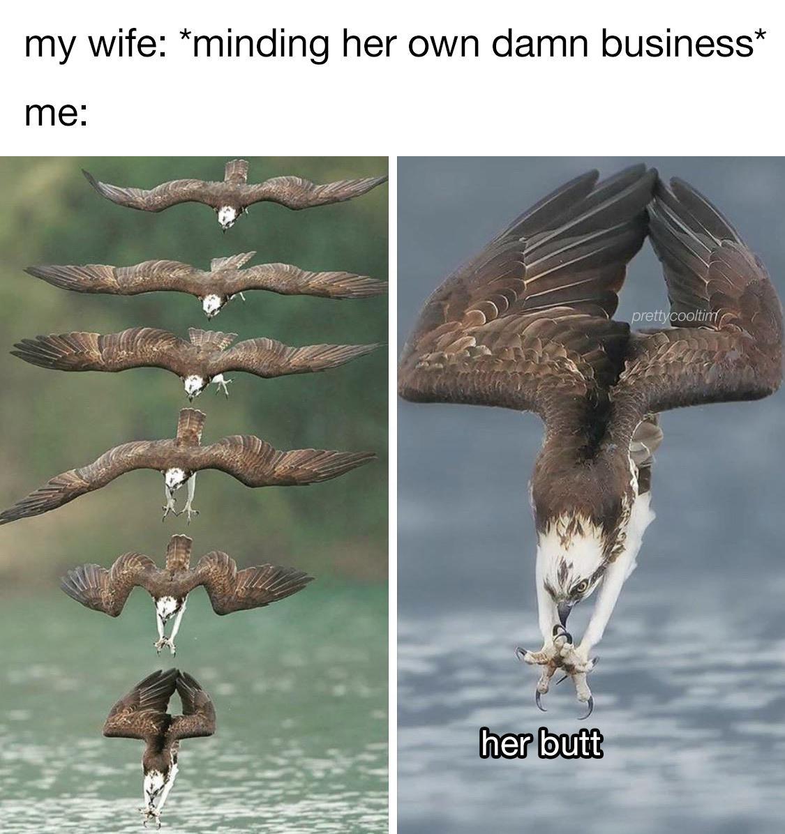 locked on target | /r/memes | Know Your Meme