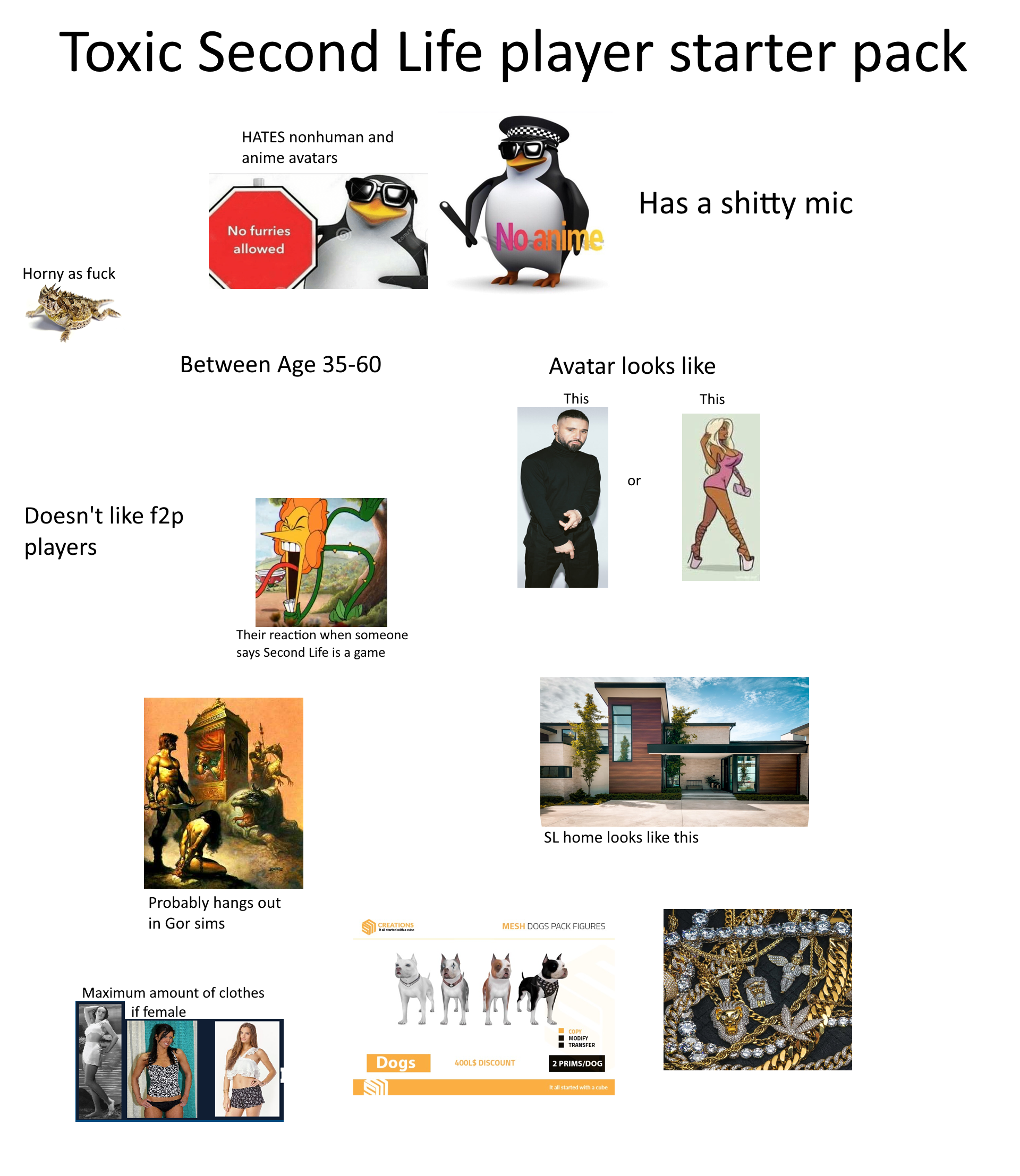 Toxic Second Life player starter pack | /r/starterpacks | Starter Packs ...