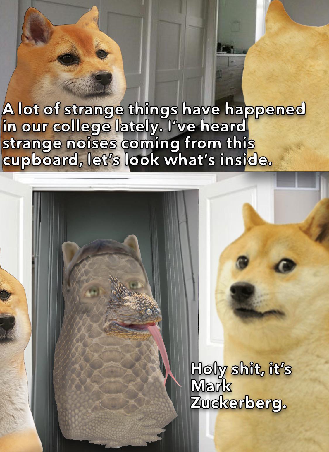 Le Zuckerberg has arrived | Dogelore | Know Your Meme