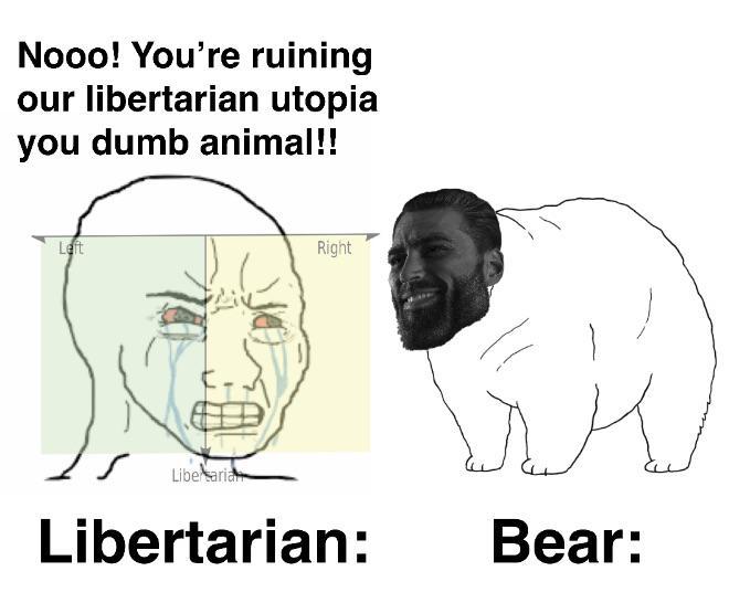 Chad bears | /r/PoliticalCompassMemes | Political Compass | Know Your Meme