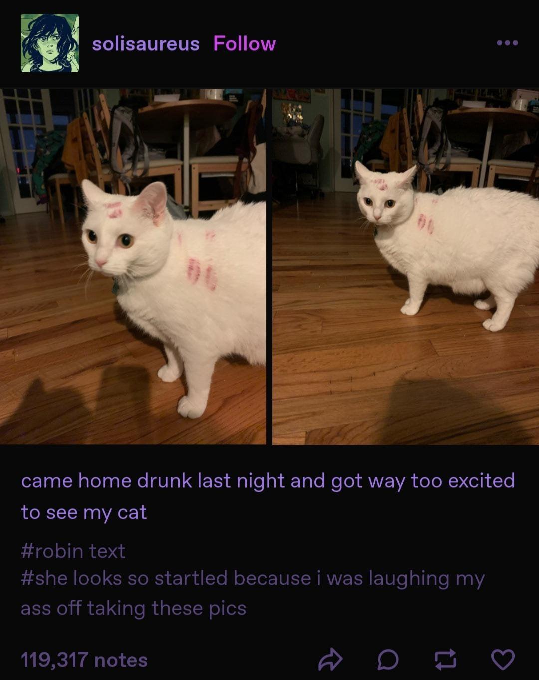 Meow kisses. | Cats | Know Your Meme