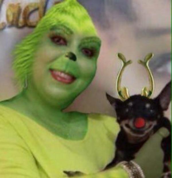 Tulla As The Grinch | Tulla Luana / Web Diva Tulla Luana | Know Your Meme