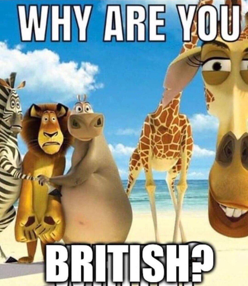 Why are you British | Melman Says San Diego | Know Your Meme