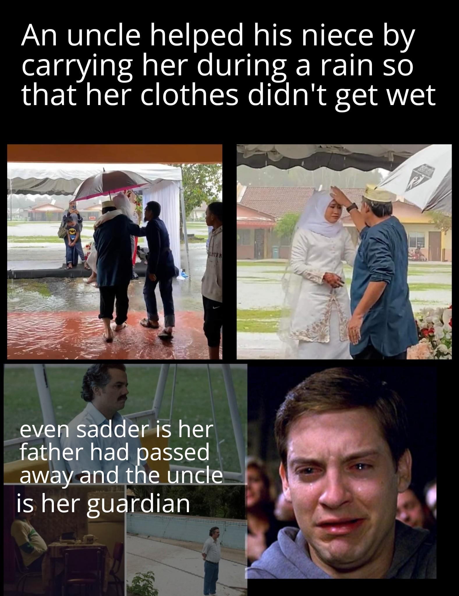 A protector do what a protector does | /r/wholesomememes | Wholesome ...