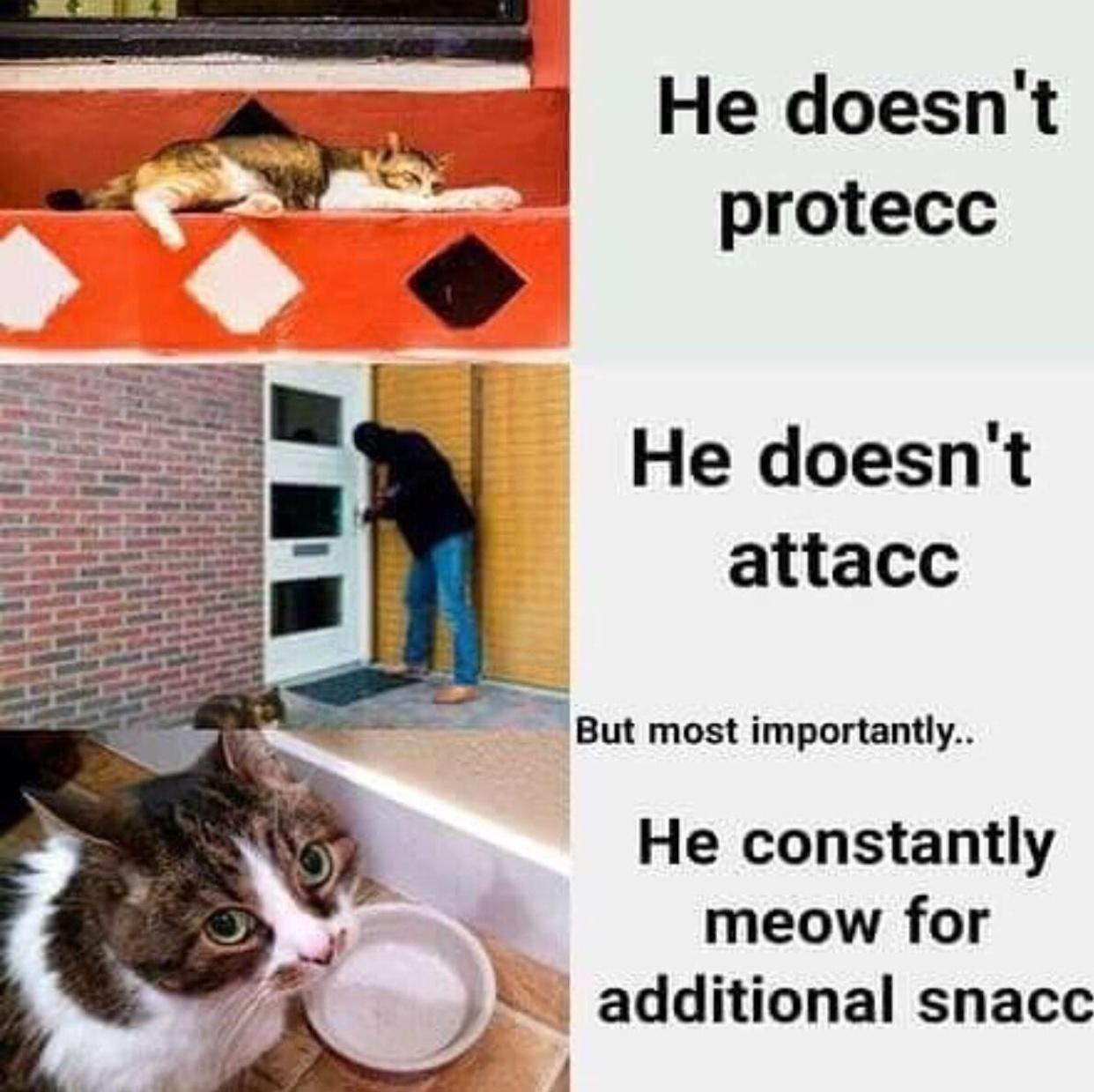 additional snacc | /r/wholesomememes | Wholesome Memes | Know Your Meme