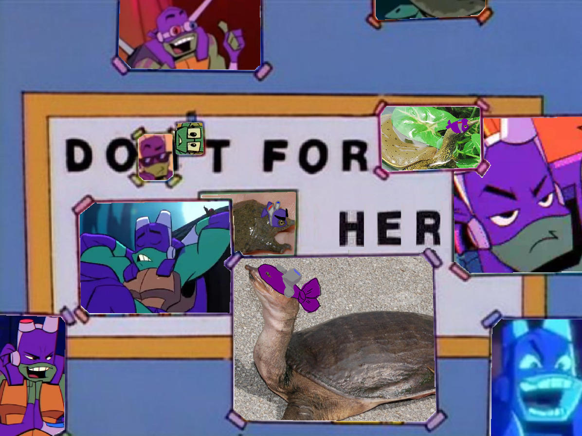 Do It for Donatello | Autism Swag Summit | Know Your Meme