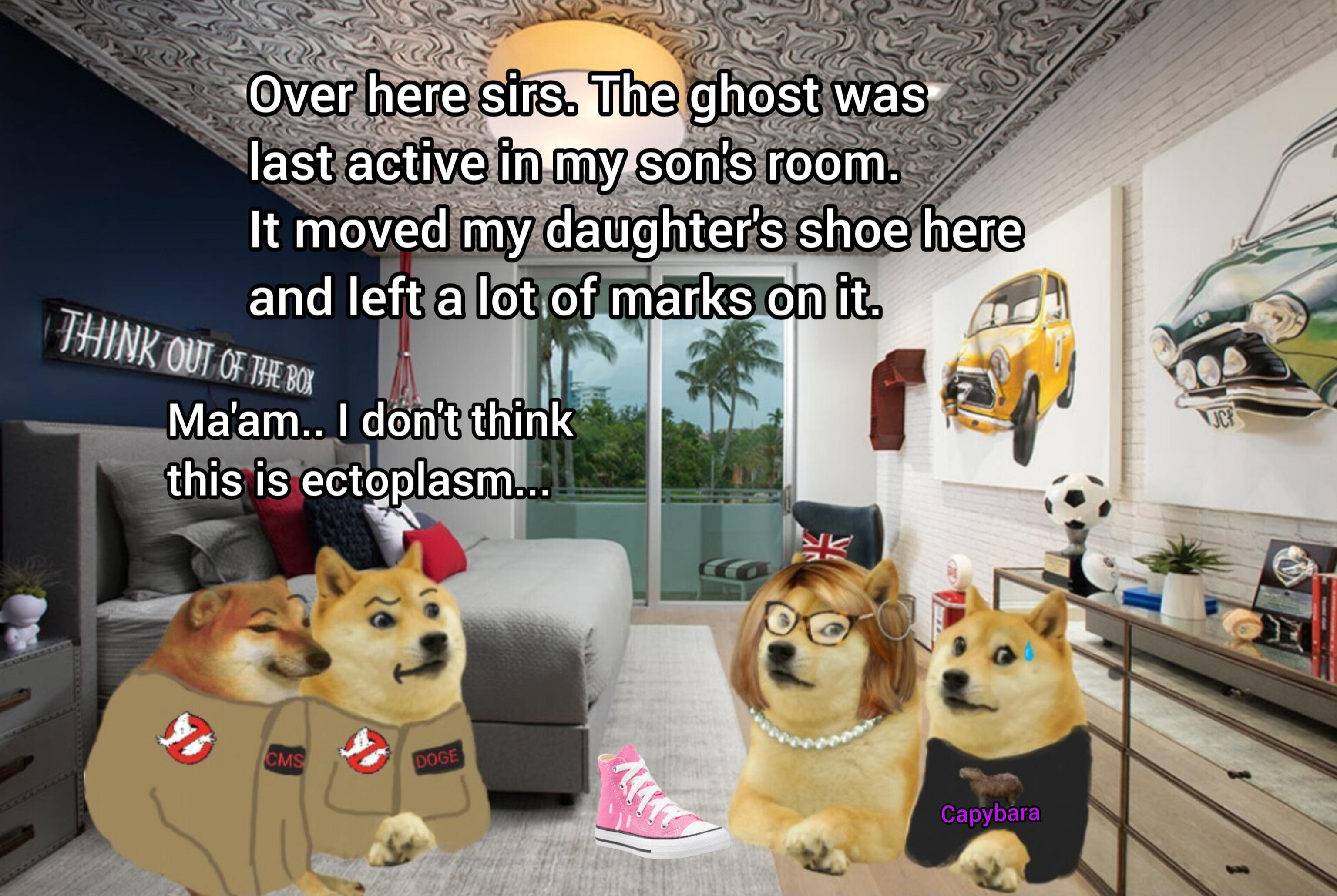 Le wrong busting has occured | /r/dogelore | Ironic Doge Memes | Know ...