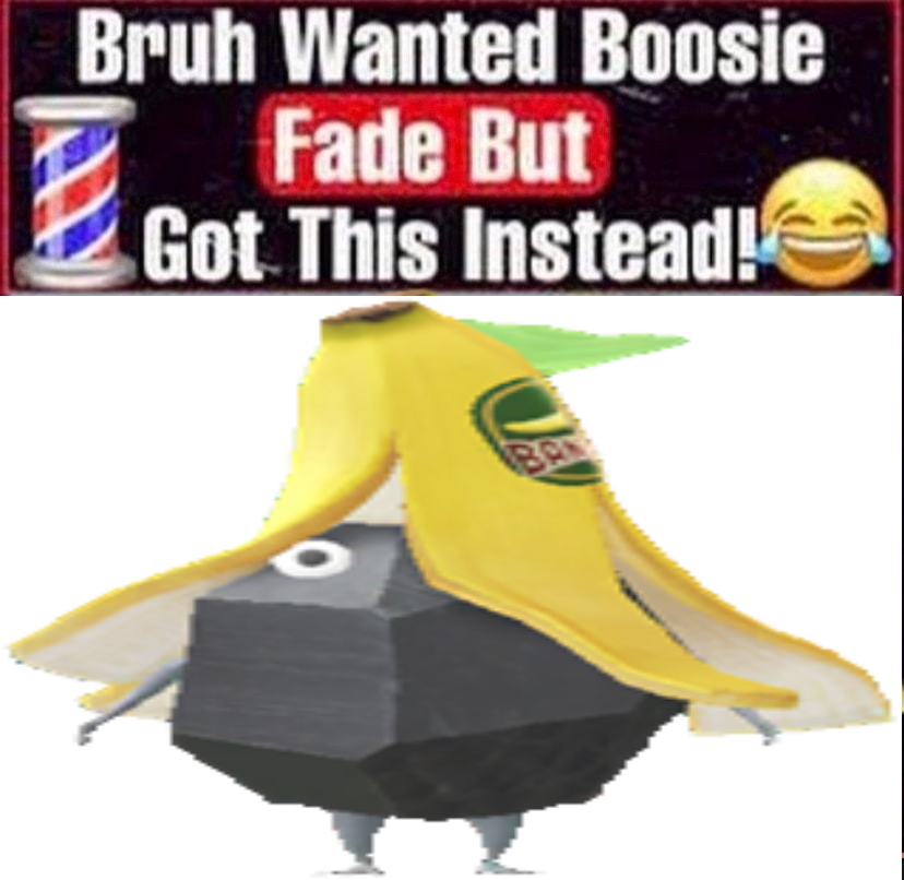 Unfortunate Rock | Bruh Wanted Boosie Fade But Got This Instead! | Know ...