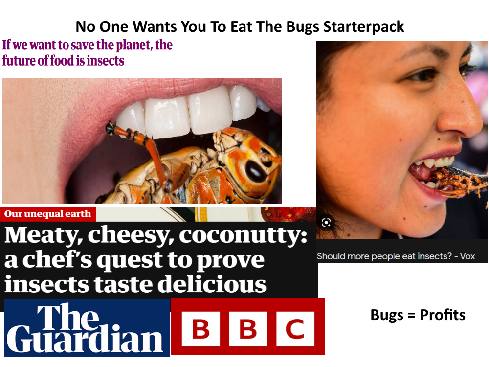 No one wants you to eat the bugs starterpack | /r/starterpacks ...