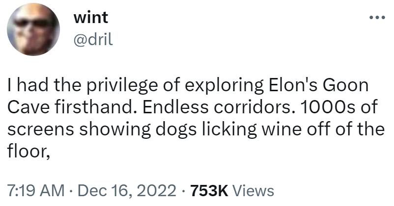 I Had The Privilege Of Exploring Elons Goon Cave Firsthand Gooning
