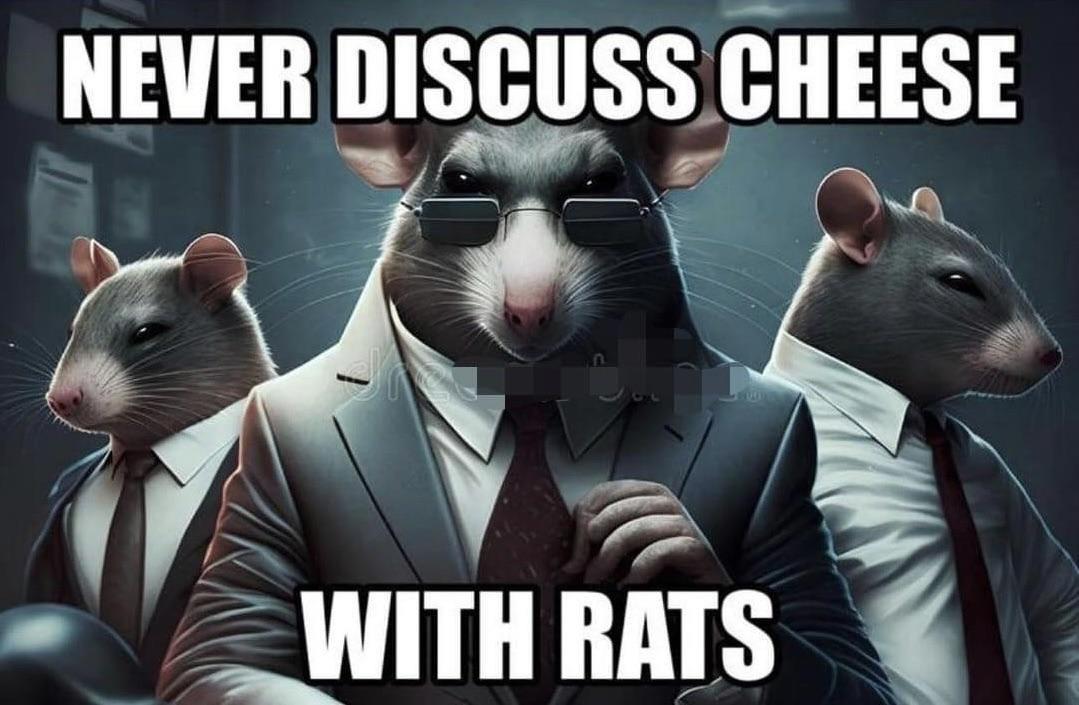 i'm not a rat but i'm all about my cheddar | /r/okbuddyretard ...