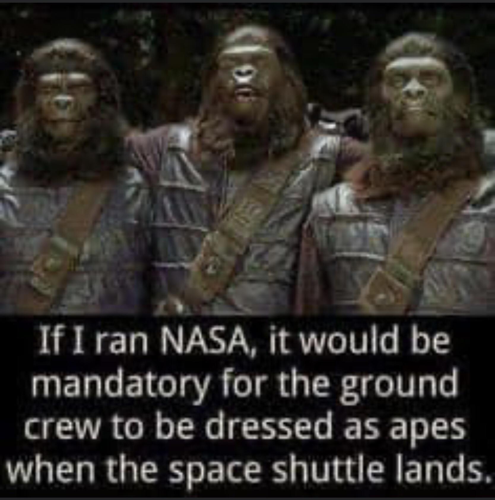 One small step for simians… | /r/wholesomememes | Wholesome Memes ...