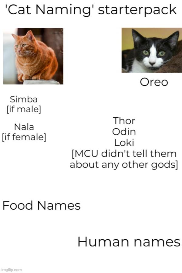 'Cat Naming' starterpack | /r/starterpacks | Starter Packs | Know Your Meme
