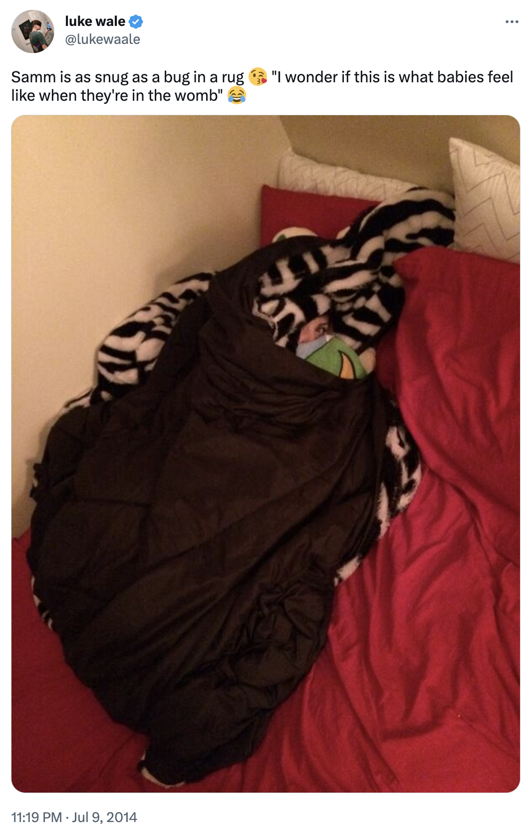 Snug as a Bug In a Rug (meme) | Snug as a Bug In a Rug | Know Your Meme