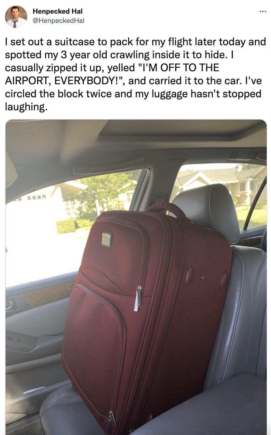 Best luggage! | /r/wholesomememes | Wholesome Memes | Know Your Meme