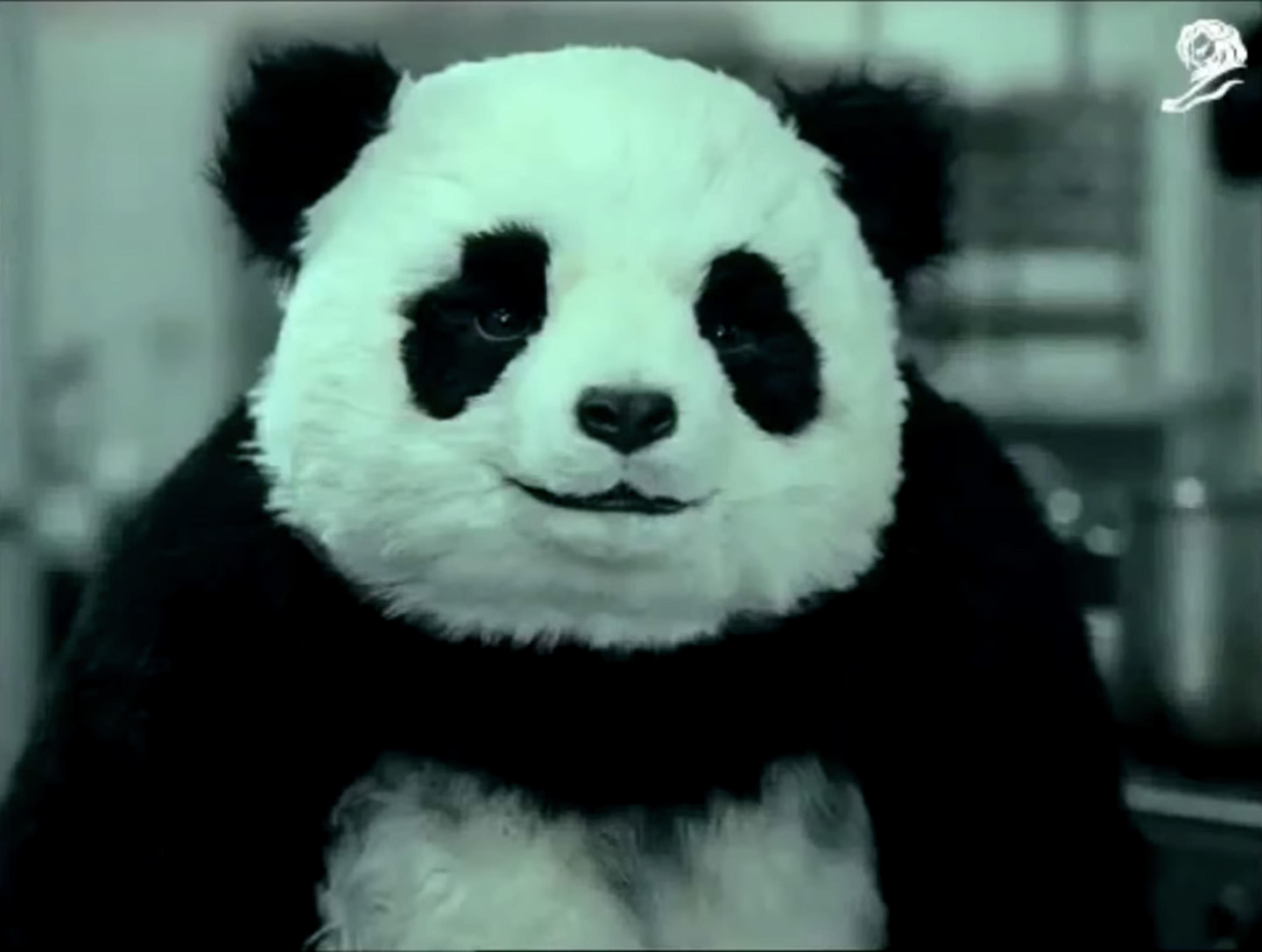 Chinese Panda Meme (original) | Chinese Panda Reaction Images ...