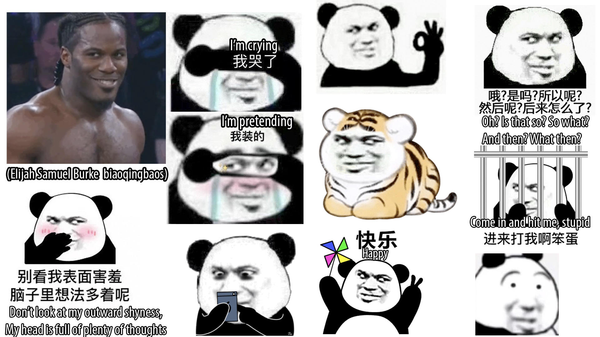 Chinese Panda Memes | Chinese Panda Reaction Images / Biaoqing Panda / 熊猫人表情包 | Know Your Meme
