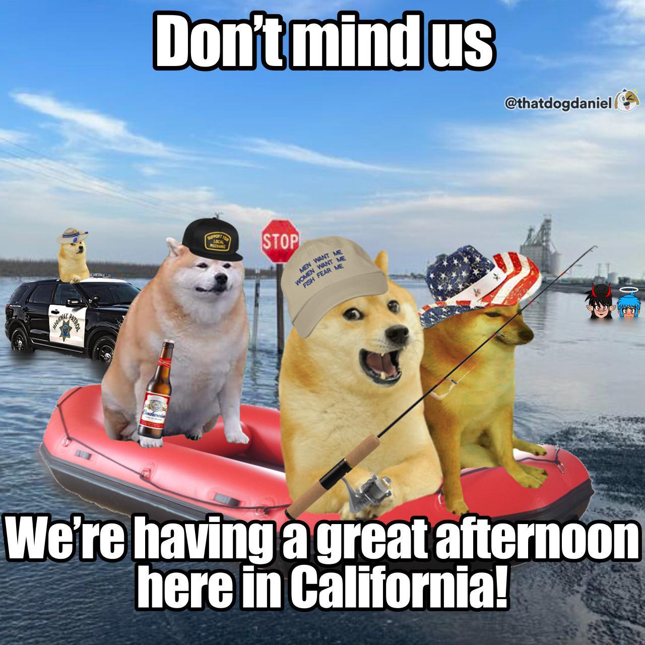 Le nice afternoon in California has arrived | /r/dogelore | Ironic Doge ...