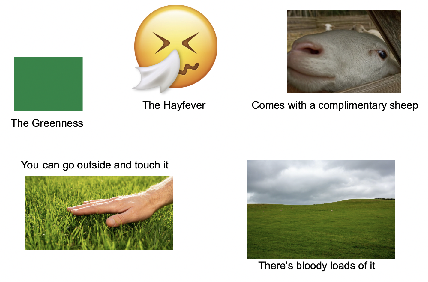 Grass Starterpack | /r/starterpacks | Starter Packs | Know Your Meme