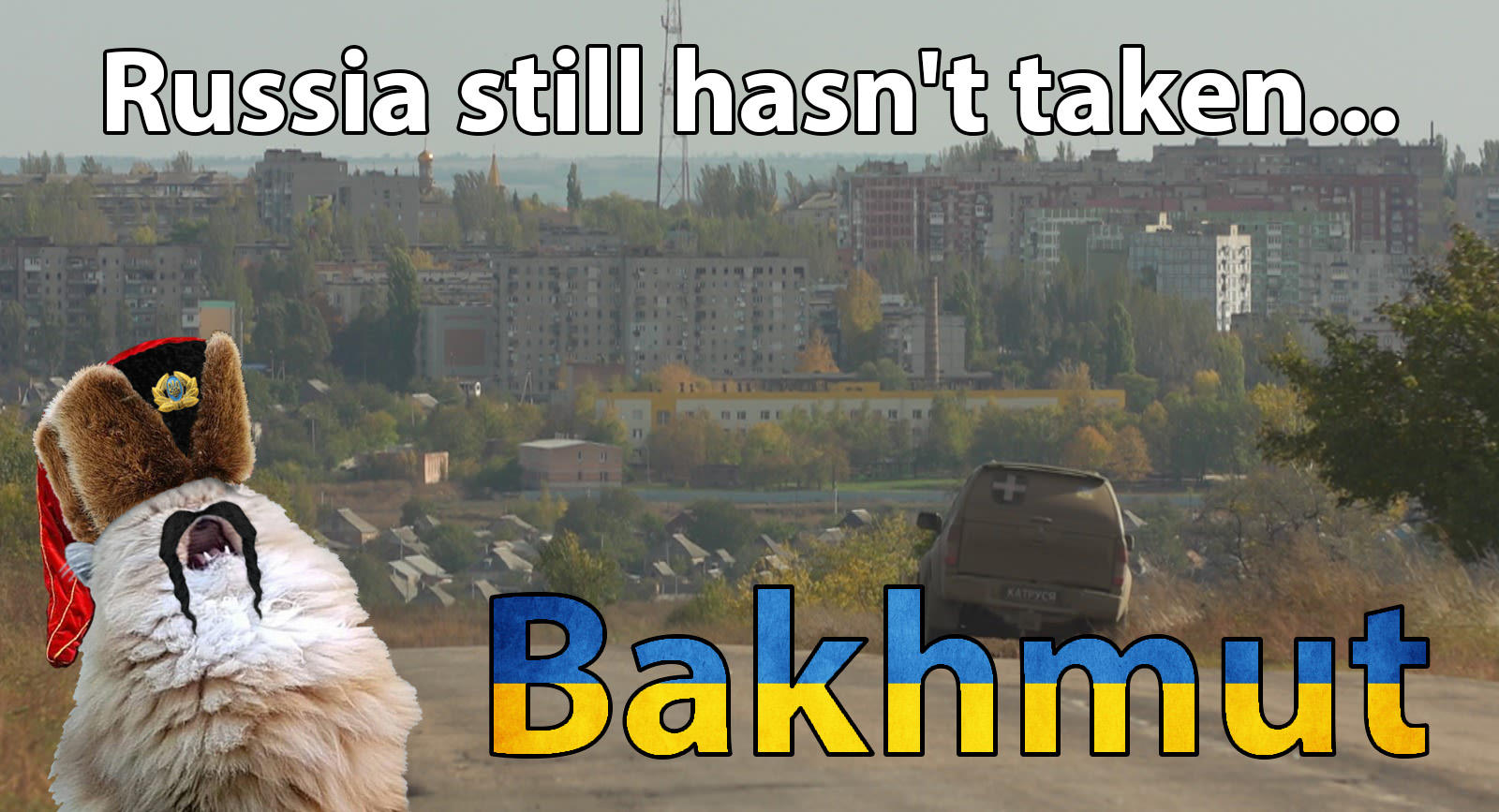 Bakhmut Cat the First | 2022 Russian Invasion of Ukraine | Know Your Meme