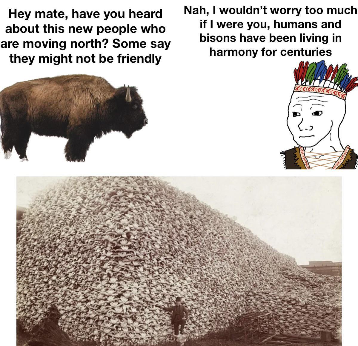 All those bison skulls. | Know Your Meme