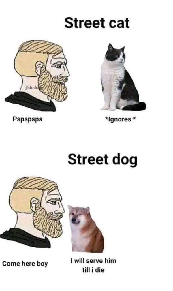 They are the real homies | /r/wholesomememes | Wholesome Memes | Know ...