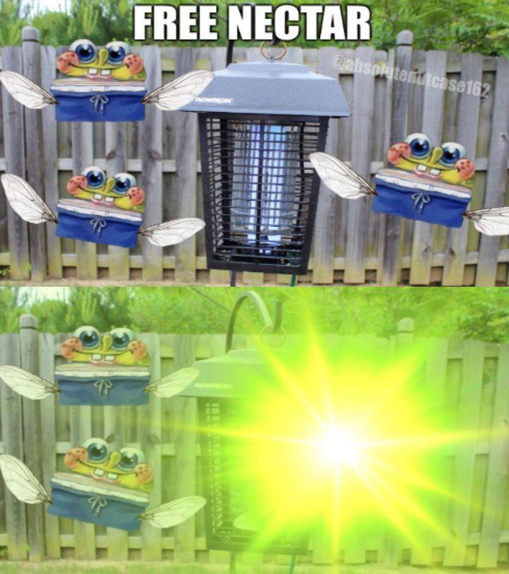Free Nectar | absolutenutcase162's SpongeBob Comics | Know Your Meme